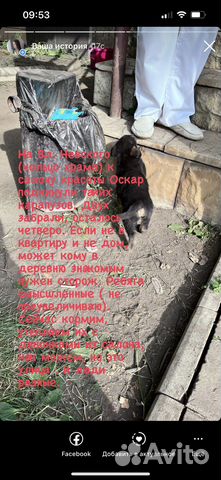 Бесплатно