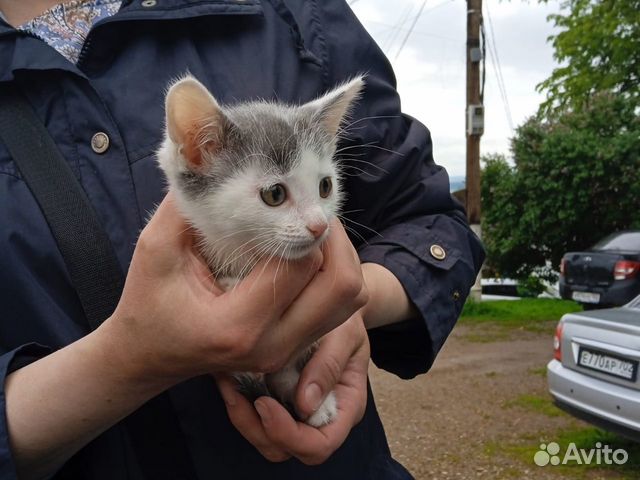 Ласковая крошечка