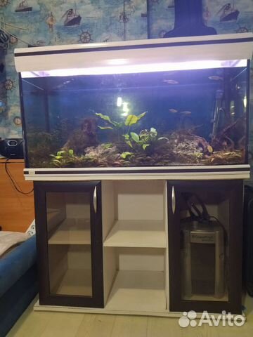 Аквариум с тумбой 200 л с фильтром, компрессором