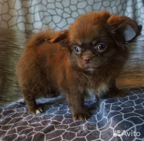 Мальчик Георг