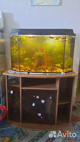 Аквариум