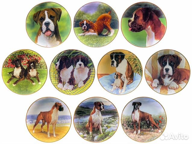 Боксёр отличный подарок любителю собак Danbury Min