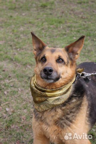 Не молодой Варяг не теряет надежду обрести счастье