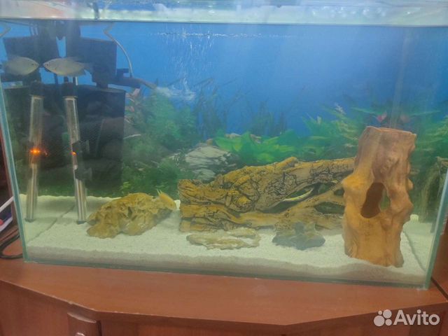 Аквариум