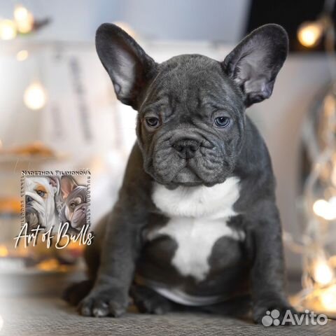 Голубой мальчик