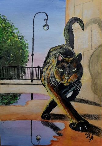 Черный котик