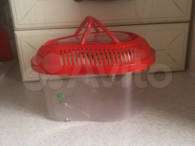 Аквариум-переноска вода-суша