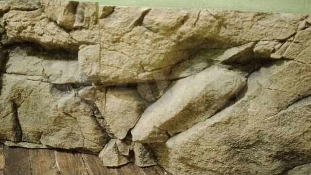 Объёмный 3D фон для аквариума, или террариума