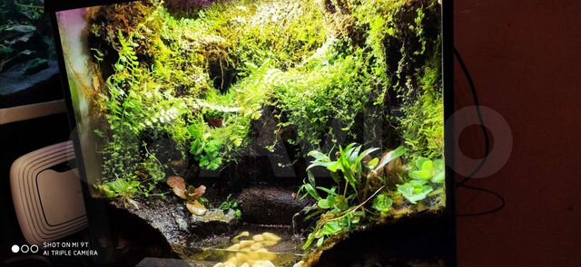 Палюдариум/крабариум/террариум