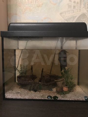 Аквариум